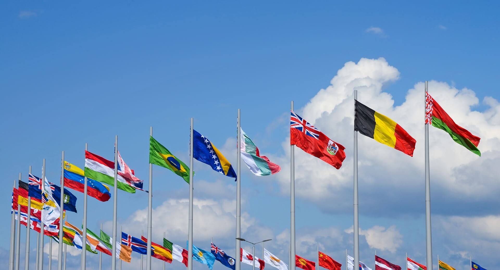 Expert Language Translation & Interpreting | TranSolution Translators ... Expert Language Translation & Interpreting | TranSolution Translators ...